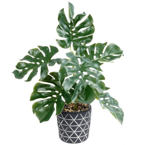 Umetna rastlina monstera v lončku 38cm | Enaa