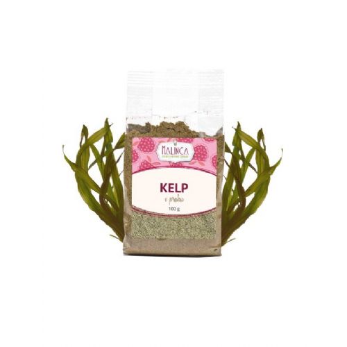 Kelp - rjava morska alga v prahu, 100 g | Enaa
